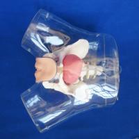 China Advanced PVC Transparent Female Urethral Catheterization Trainer for Nursing Training for sale
