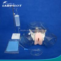 China Manikin Transparent Dilatation and Curettage of Uterine Manikin for Abortion Training for sale