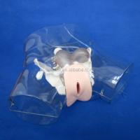 China Manikin Transparent Dilatation and Curettage of Uterine Manikin for Abortion Training for sale