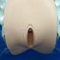 China Manikin Transparent Dilatation and Curettage of Uterine Manikin for Abortion Training for sale