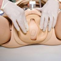 China Childbirth Training Manikin for Realistic Maternal and Neonatal Emergency Simulations for sale