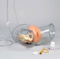 China Advanced PVC Transparent Female Urethral Catheterization Trainer for Nursing Training for sale