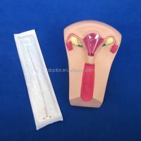 China PVC IUD Contraception Simulator The Ideal Teaching Tool for Family Planning for sale