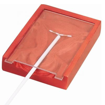 China Obstetrics and Gynecology Skills Teaching IUD Insertion Trainer for Patients Care for sale