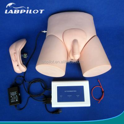 China Medical Teaching Simulators Adult Catheterization Training with Intubation Monitor for sale