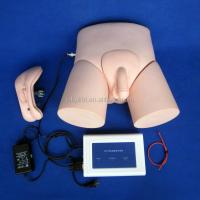China Medical Teaching Simulators Adult Catheterization Training with Intubation Monitor for sale