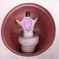 China Improve Clinical Nursing Techniques with Female Contraception Simulator and IUD Model for sale