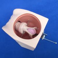 China Improve Clinical Nursing Techniques with Female Contraception Simulator and IUD Model for sale