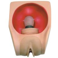 China Human Life Size Medical Science Training Model for Advanced Female Contraception Practice for sale