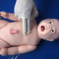 China Newborn Baby Umbilical Nursing Venipuncture Intubation and CPR Training with Manikin for sale