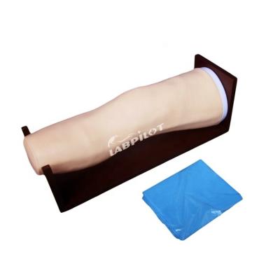 China Advanced PVC Knee Joint Cavity Puncture and Articular Injection Training Simulator for sale
