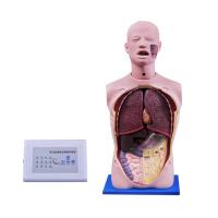 China Human Life Size Multi-functional Nursing Manikin for Suction and Tracheotomy Training for sale