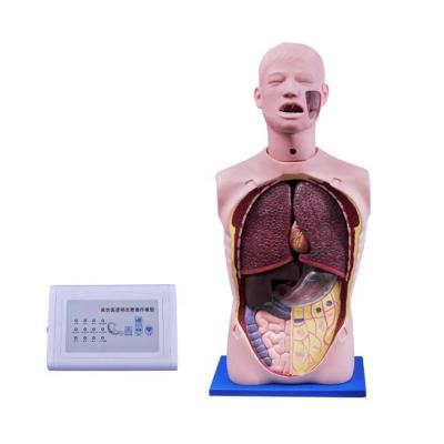 China Human Life Size Multi-functional Nursing Manikin for Suction and Tracheotomy Training for sale