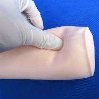 China Medical Science Economic Soft Venipuncture and IV Injection Teaching Model Elbow Puncture Simulator for sale