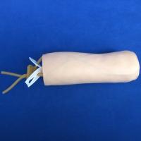 China Medical Science Economic Soft Venipuncture and IV Injection Teaching Model Elbow Puncture Simulator for sale