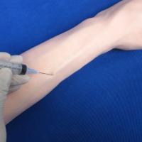 China Comprehensive Venipuncture Training Arm Human Life Size Model for IV and IM Injections for sale