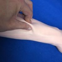 China Comprehensive Venipuncture Training Arm Human Life Size Model for IV and IM Injections for sale