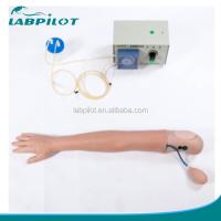 China Advanced Hemodialysis Simulated Human Arm Model for Clinical Nursing Training Models for sale