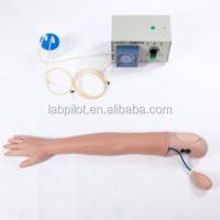 China Advanced Hemodialysis Simulated Human Arm Model for Clinical Nursing Training Models for sale