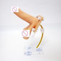 China Penis Simulation and Contraception Guidance Teaching Model for Medical Science Classes for sale