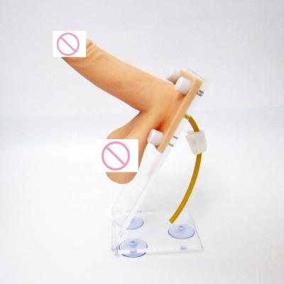 China Penis Simulation and Contraception Guidance Teaching Model for Medical Science Classes for sale