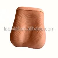 China Realistic Testicular Examination Simulator featuring Human Life Size and Advanced PVC for sale