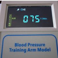 China Advanced PVC Multi-functional Nursing Manikin for Comprehensive Patient Care Training for sale