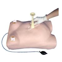 China Electronic Maternity Palpation Model Manikin with Gynecological Auscultation Function for sale