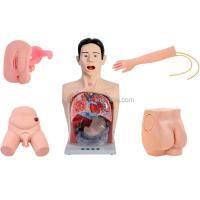 China Transparent Gastric Lavage and Nasal Feeding Simulator for Clinical Nursing Education for sale