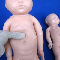 China Human Life Size Pregnant Doll Baby Labor Delivery Simulator for Medical Science Model for sale