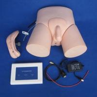 China Electronic Urethral Catheterization Training Model for Male and Female Human Life Size for sale