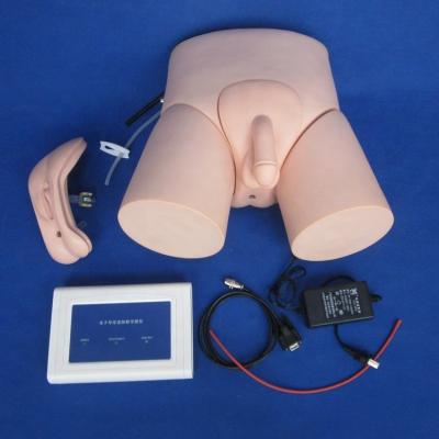 China Electronic Urethral Catheterization Training Model for Male and Female Human Life Size for sale