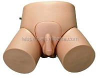 China Electronic Urethral Catheterization Training Model for Male and Female Human Life Size for sale