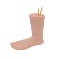 China Effective Foot Model for Teaching Intravenous Venipuncture in Clinical Nursing Education for sale