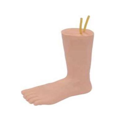 China Effective Foot Model for Teaching Intravenous Venipuncture in Clinical Nursing Education for sale