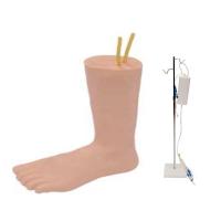China Effective Foot Model for Teaching Intravenous Venipuncture in Clinical Nursing Education for sale