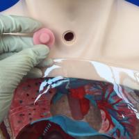 China Transparent Gastric Lavage Model Nasal Feeding Tube Simulator for Nursing Training for sale