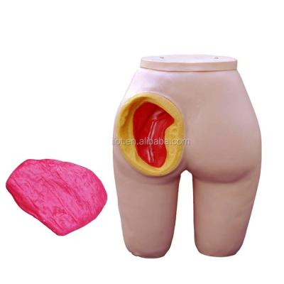 China Human Life Size Gluteus Intramuscular Injection Training Model for Patients Care Demo for sale