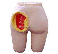 China Human Life Size Gluteus Intramuscular Injection Training Model for Patients Care Demo for sale