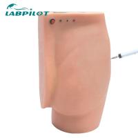 China Patients Care Demonstration Buttocks Injection Teaching Simulator with Warning Lights for sale