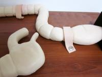 China Manikin for Sigmoidoscope Examination Training Advanced Intestine Model Simulator for sale