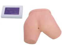 China Medical Science Teaching Simulators Electronic Enema Simulator Nursing Training Model for sale