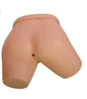 China Medical Science Teaching Simulators Electronic Enema Simulator Nursing Training Model for sale