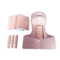 China Medical Science Tracheostomy Nursing Training Manikin Optimal for Education for sale