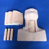 China Medical Science Tracheostomy Nursing Training Manikin Optimal for Education for sale
