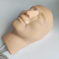 China Nasal Hemorrhage Simulator for Effective Nursing Education Epistaxis Hemostasis Model for sale