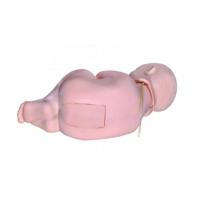 China Infant Lumbar Puncture Training Doll for Pediatric Mannequin in Medical Nurses Care for sale