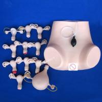 China Contraception Uterus Pelvic Examination Training Manikin Medical Gynecology Care Model for sale