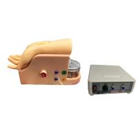 China Arterial Blood Gas Analysis Model for Human Artery Puncture Training Skill Development for sale