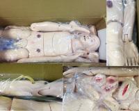 China Human Life Size Full-functional Adult Nursing Manikin with Blood Pressure Simulator Medical Training Dummy for sale
